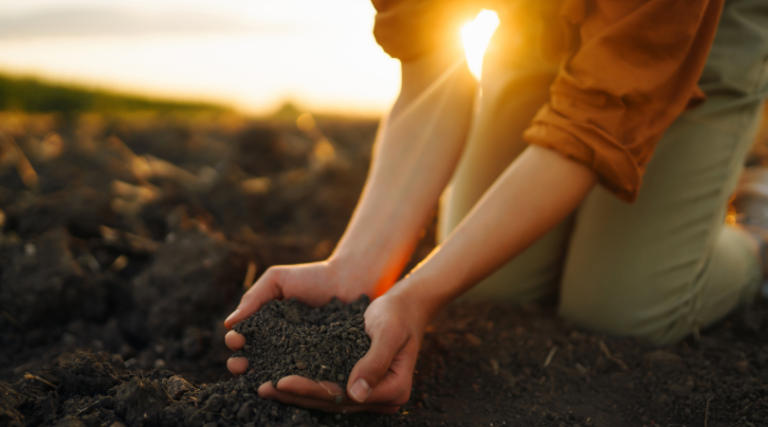 Why Biosolid-Free Compost Matters for Soil and Safety | Veransa Group