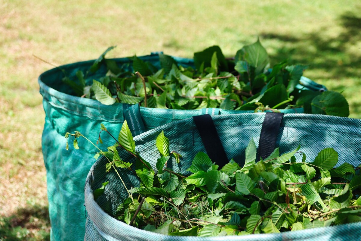 The Future of Composting: Innovations and Trends in the Industry ...